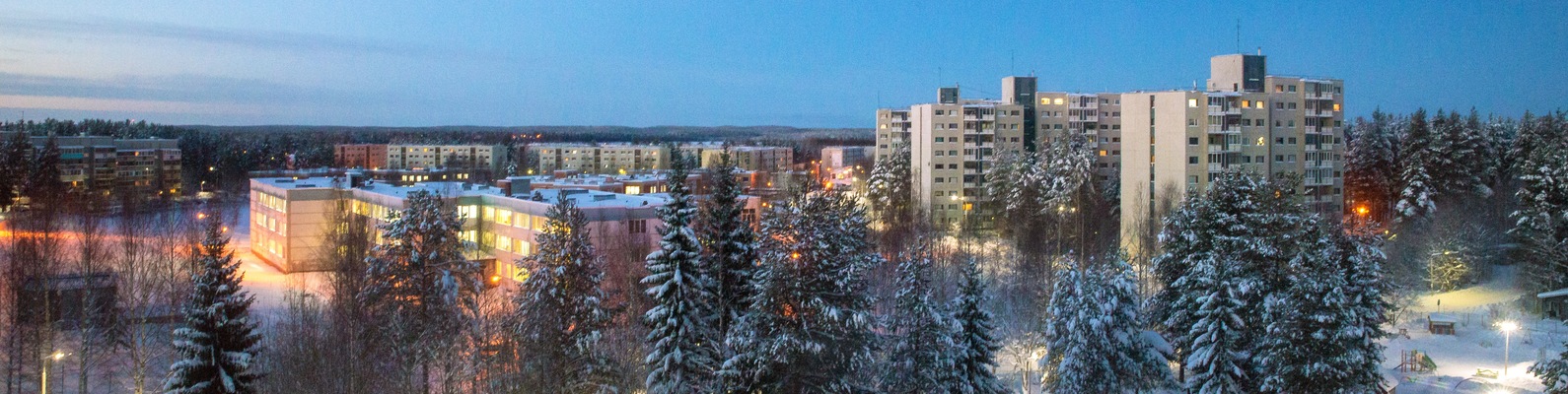 Photographed by Sergey Shubin 2025 | ВКонтакте